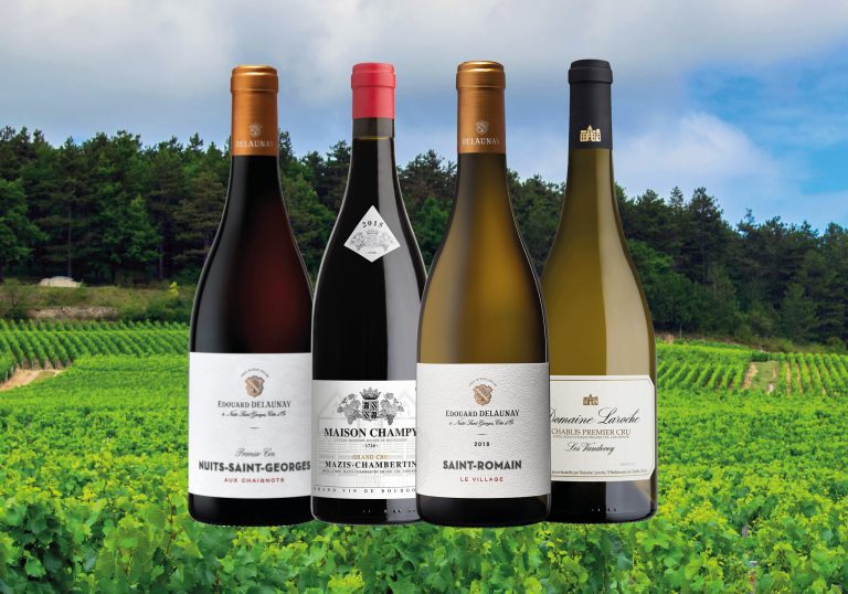 Burgundy 101 - Classic Drinks