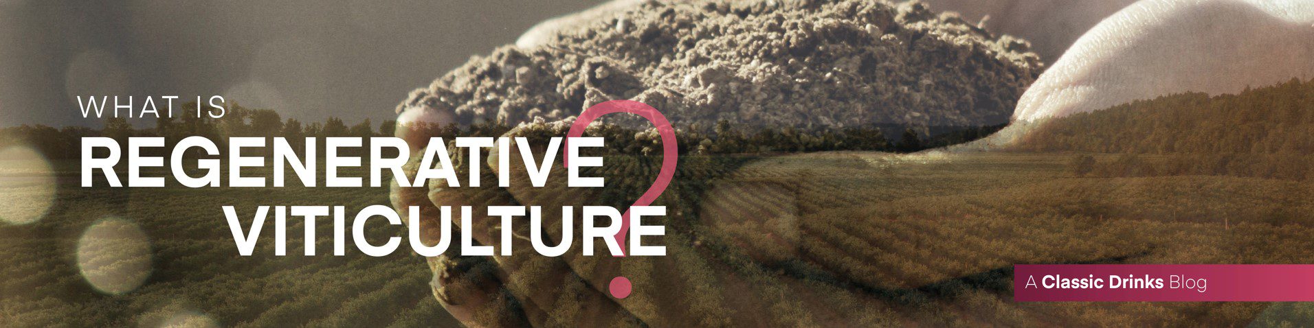 What is Regenerative Viticulture? - Classic Drinks